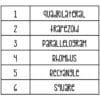 5 Ideas for Teaching Types of Quadrilateral Shapes - Curious Classroom ...