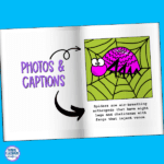 Navigating Nonfiction Text Features: A Helpful Guide for Upper ...