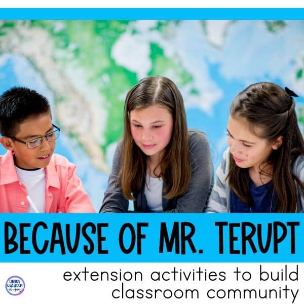7 Powerful Activities for Because of Mr. Terupt to Connect, Reflect ...